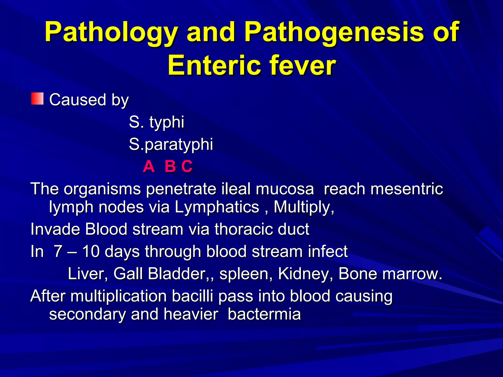 Typhoid fever microbiology | PPT