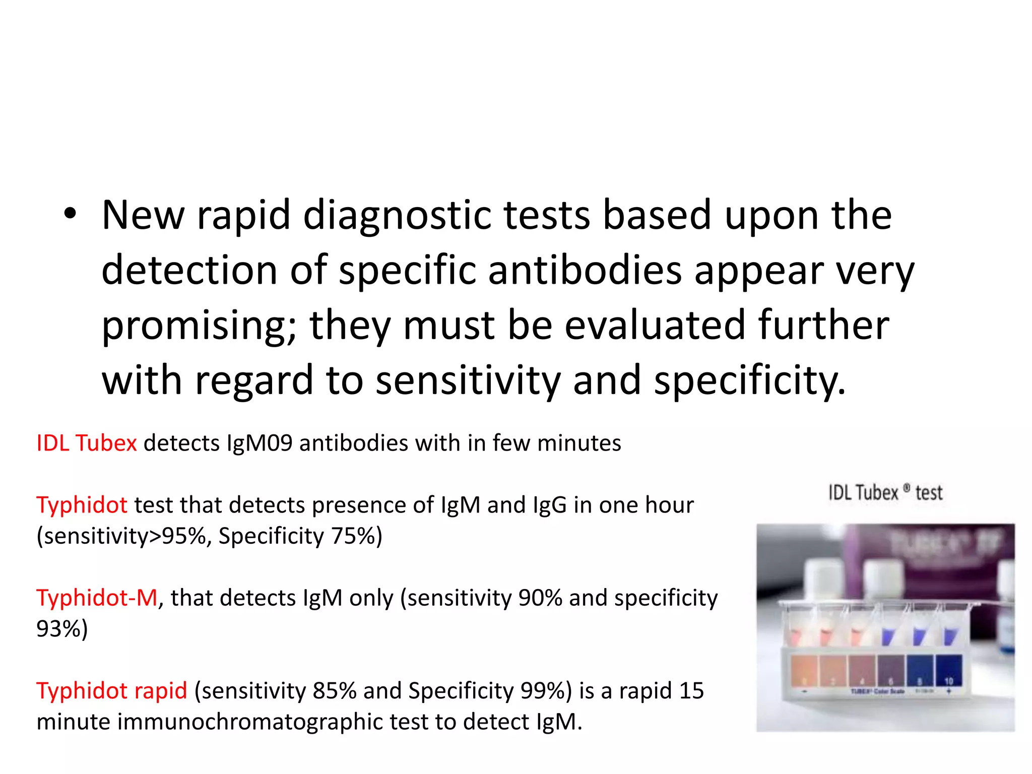Typhoid fever | PPTX | Digestive Disorders | Diseases and Conditions