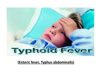 Typhoid fever | PPTX