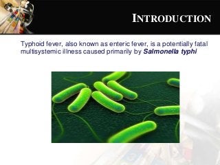Typhoid fever | PPT