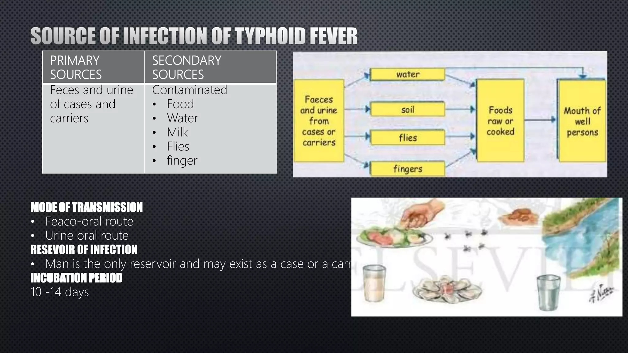 Typhoid fever | PPTX