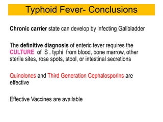 Typhoid fever | PPT