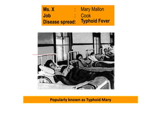 Typhoid fever | PPT