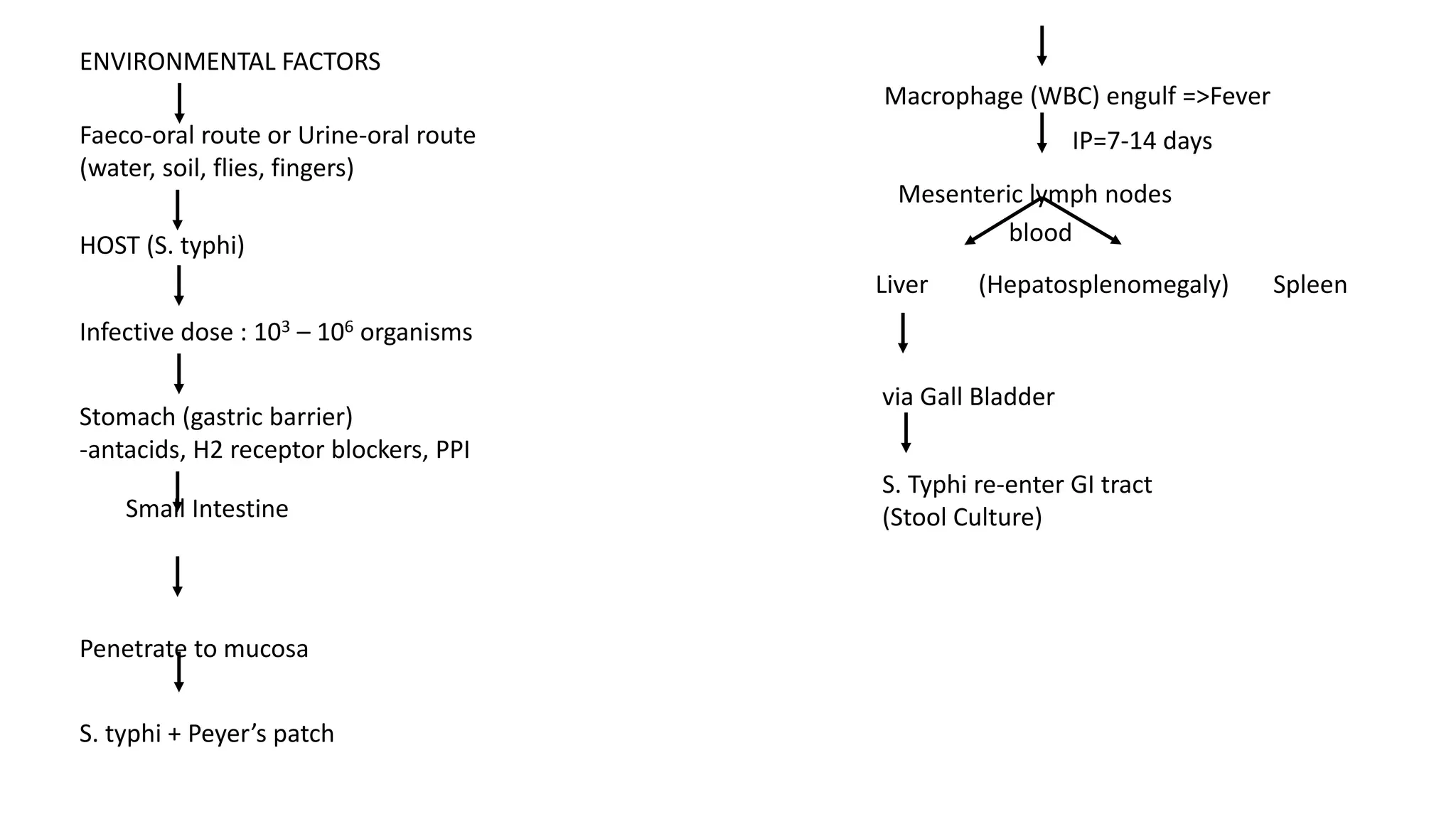Typhoid fever (Paediatrics) | PPTX