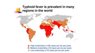 Typhoid fever (Paediatrics) | PPTX