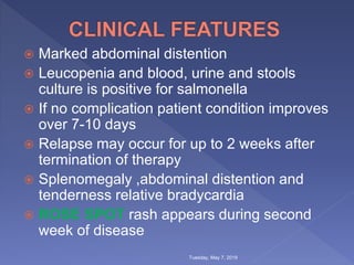 Typhoid fever | PPTX | Infectious Diseases | Diseases and Conditions