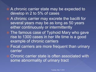 Typhoid fever | PPTX | Infectious Diseases | Diseases and Conditions