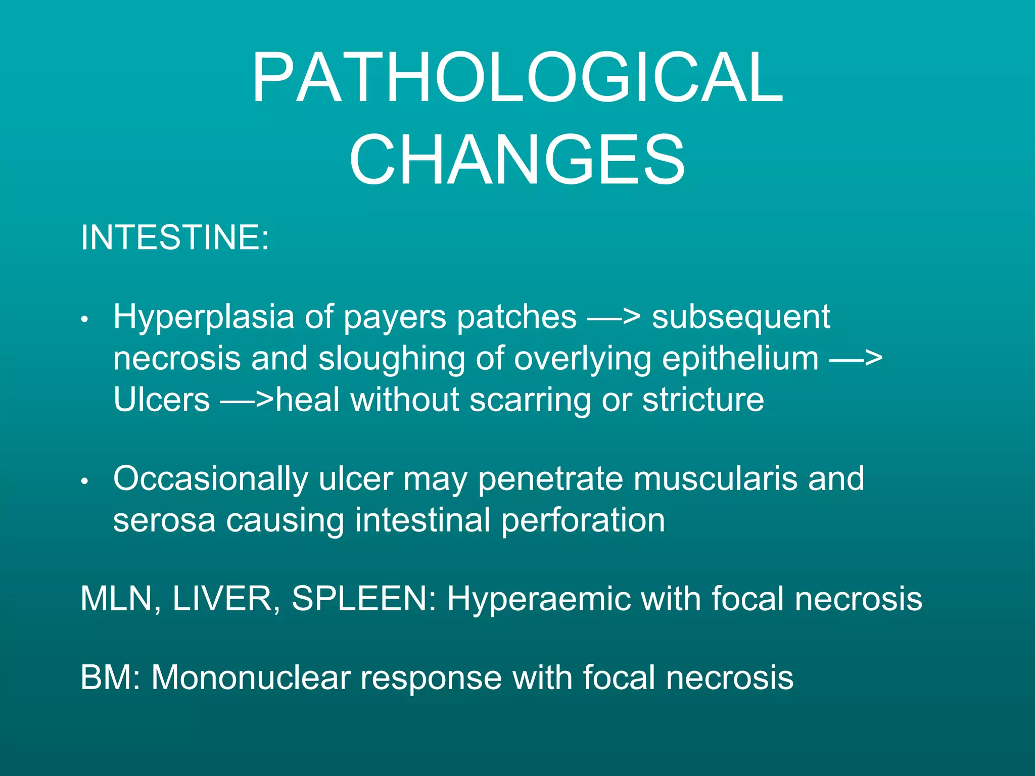 Typhoid fever (Enteric fever) | PPTX