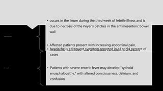 Typhoid fever | PPTX | Digestive Disorders | Diseases and Conditions