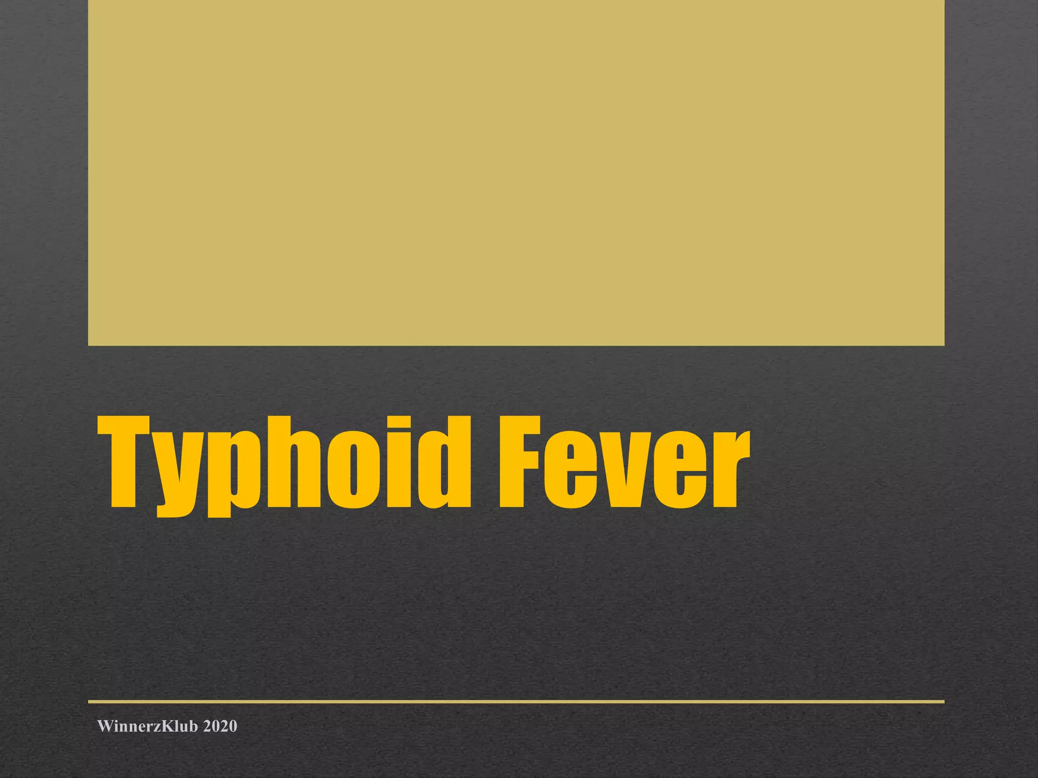 Typhoid fever | PPT