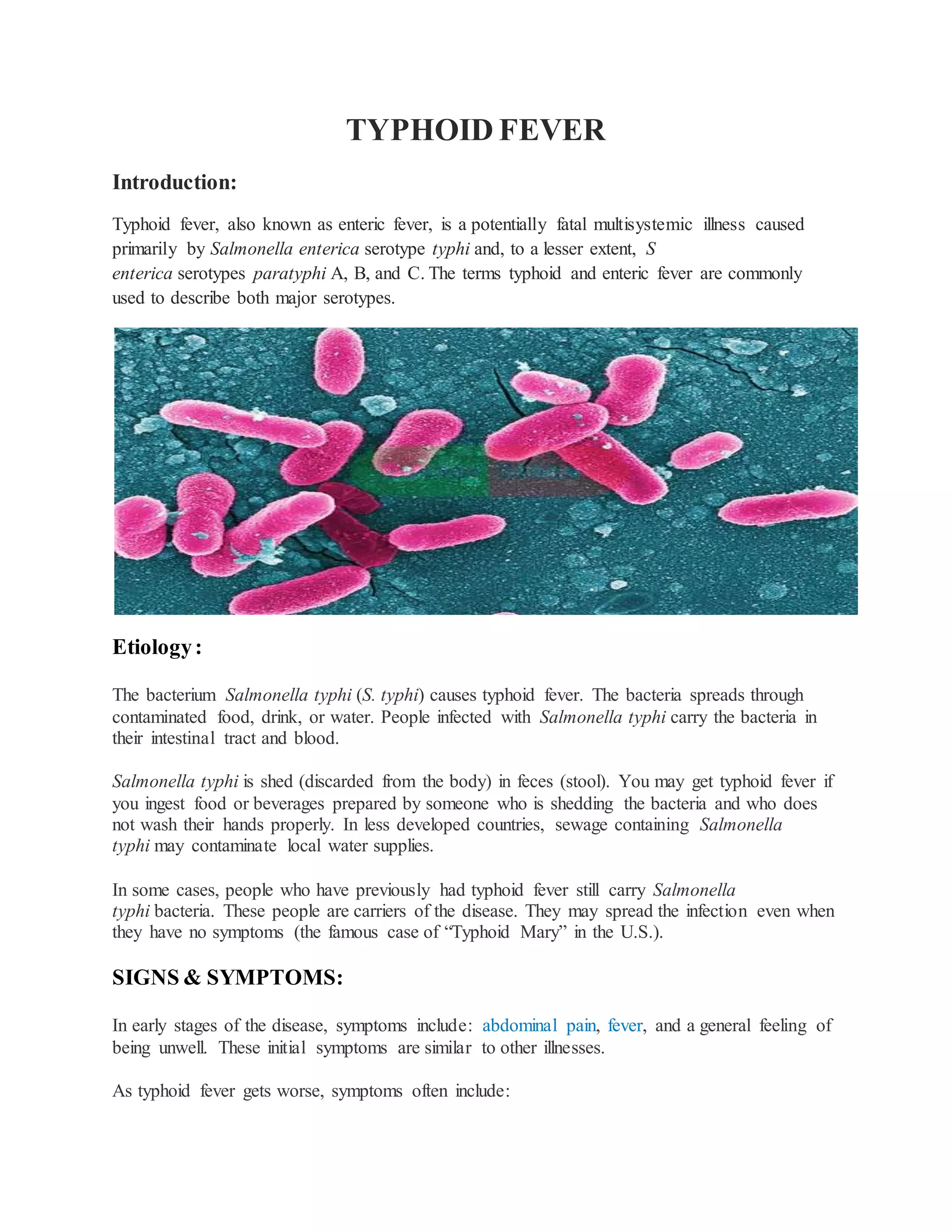 Typhoid Fever Causes