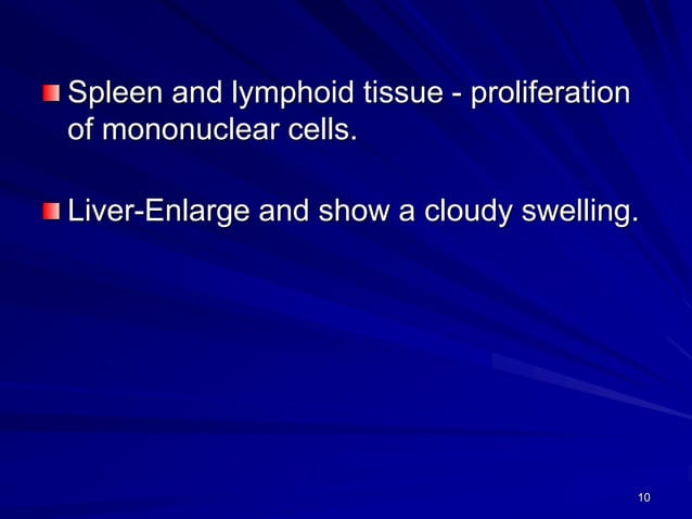 TYPHOID FEVER.& Other T. Diseases..pptx