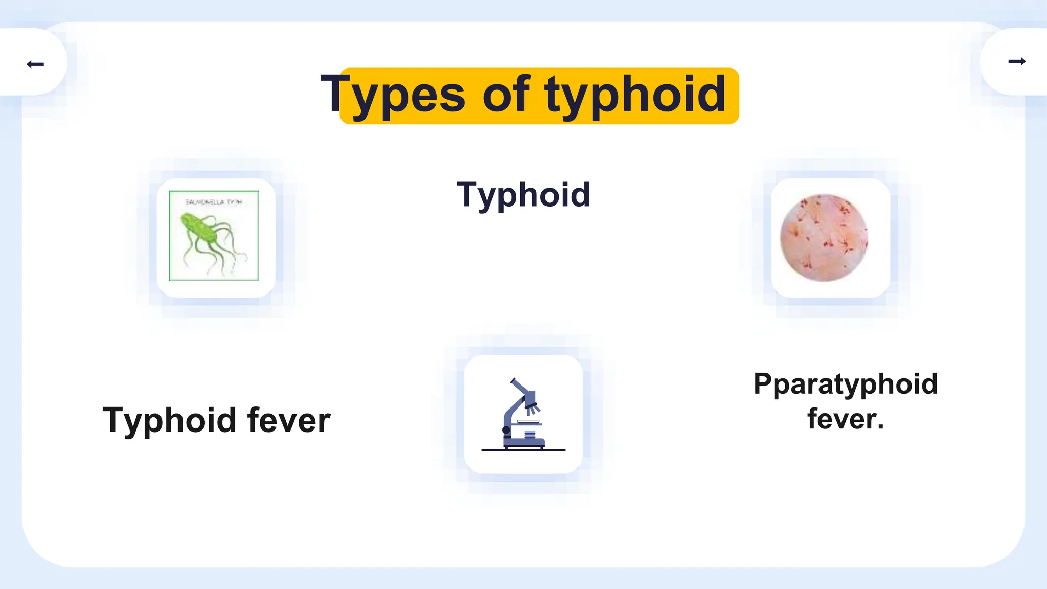 Typhoid fever 🤒 | PPTX