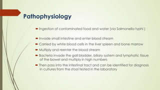 Typhoid fever .ppt