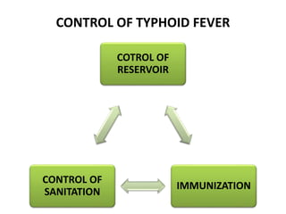 Typhoid fever.communicabke disease s.pptx