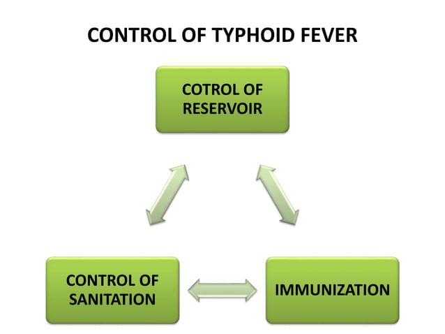 Typhoid fever.communicabke disease s.pptx
