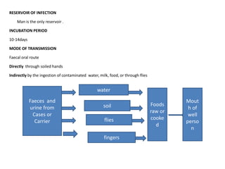Typhoid fever.communicabke disease s.pptx