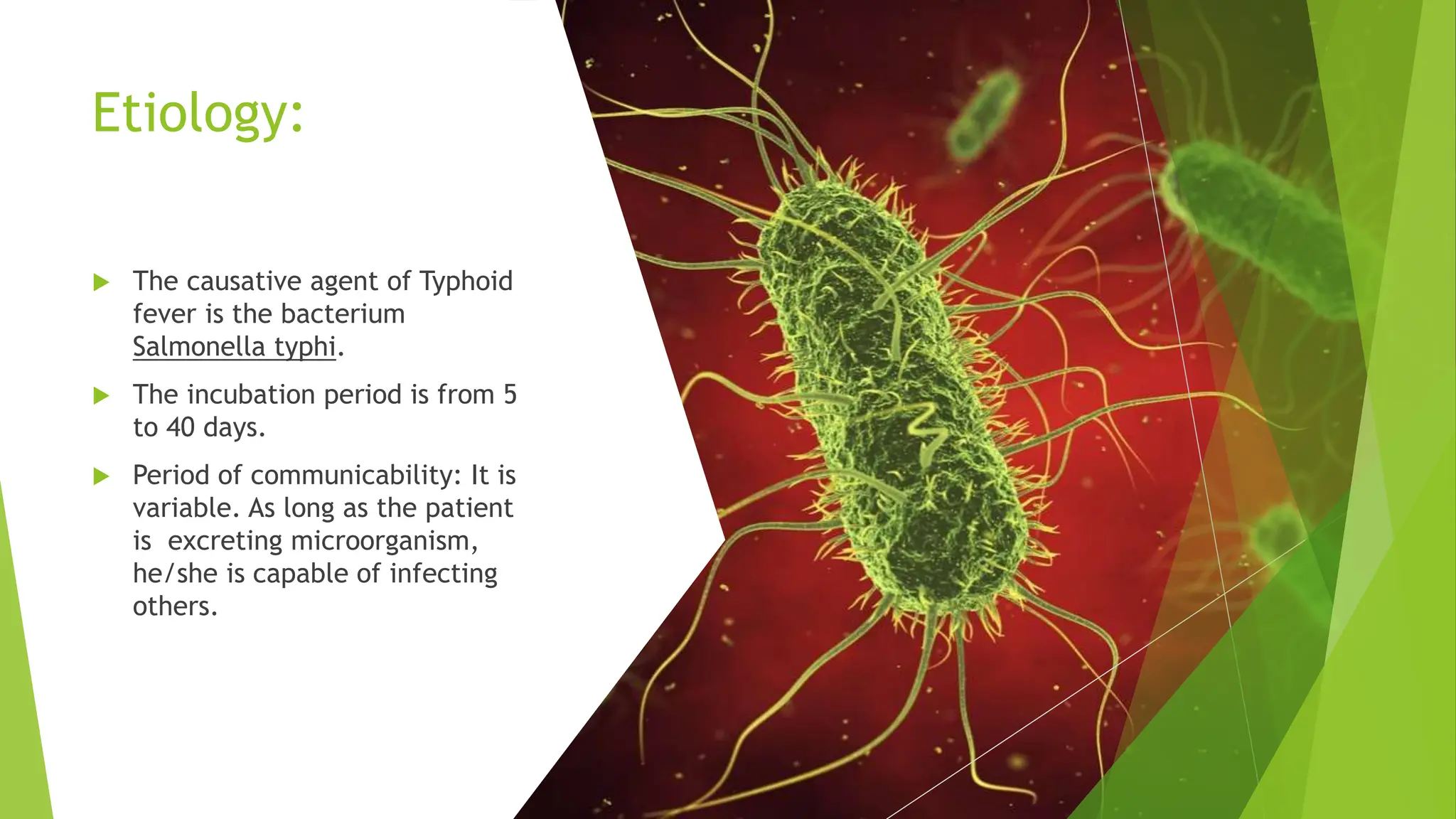Pathophysiology of typhoid fever and the works.pptx