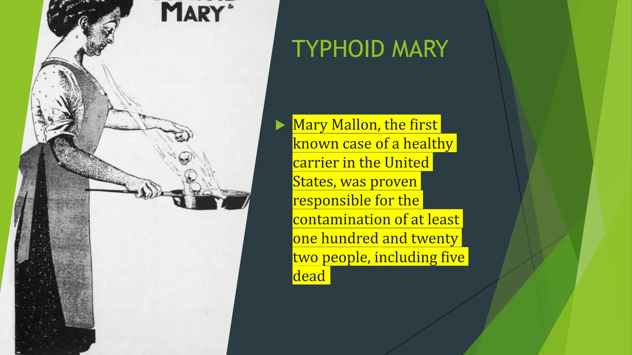 Pathophysiology of typhoid fever and the works.pptx