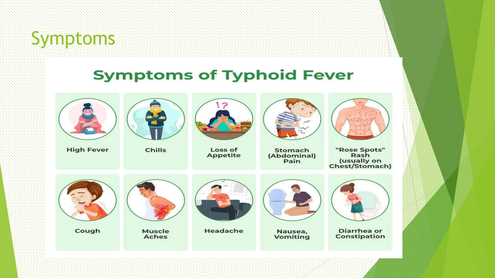 Pathophysiology of typhoid fever and the works.pptx