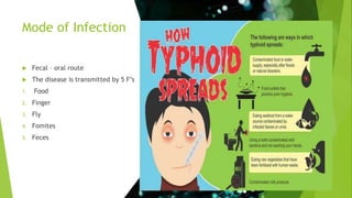 Pathophysiology of typhoid fever and the works.pptx