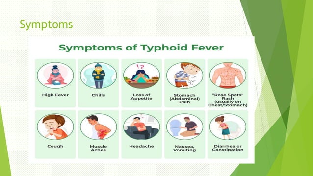 Pathophysiology of typhoid fever and the works.pptx