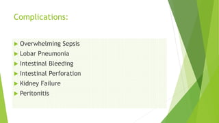 Pathophysiology of typhoid fever and the works.pptx
