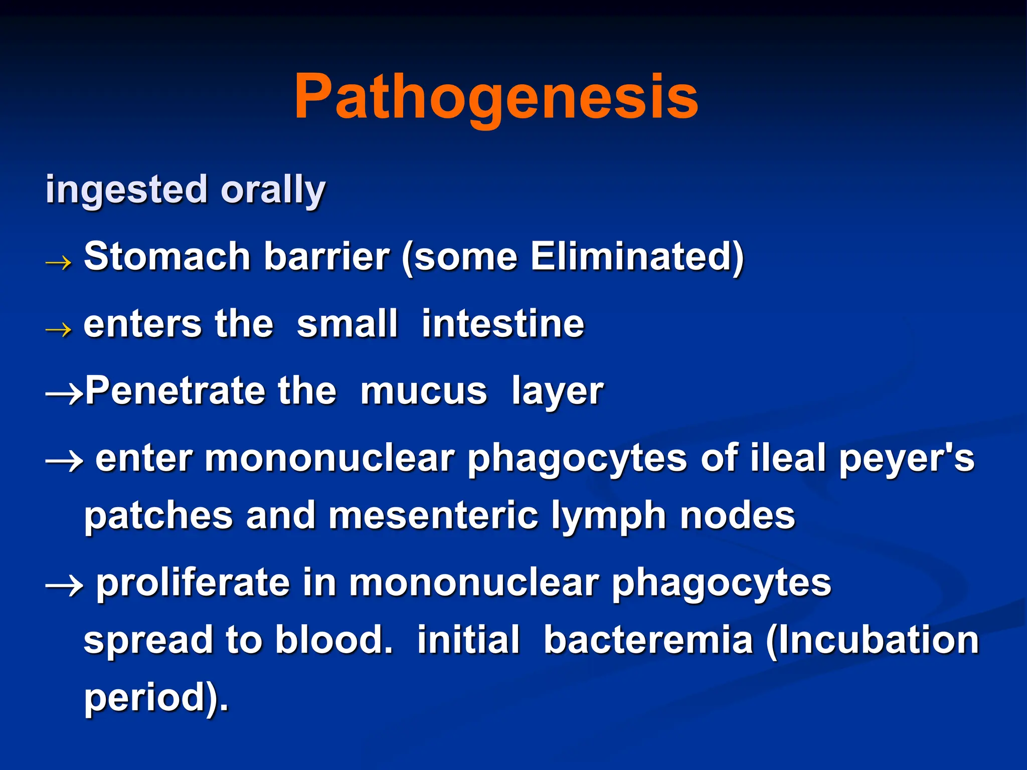 typhoid fever.ppt on presentation on power point | PPT