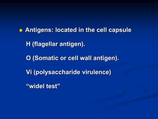 typhoid fever.ppt on presentation on power point | PPT