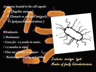 Typhoid fever madhuri | PPT