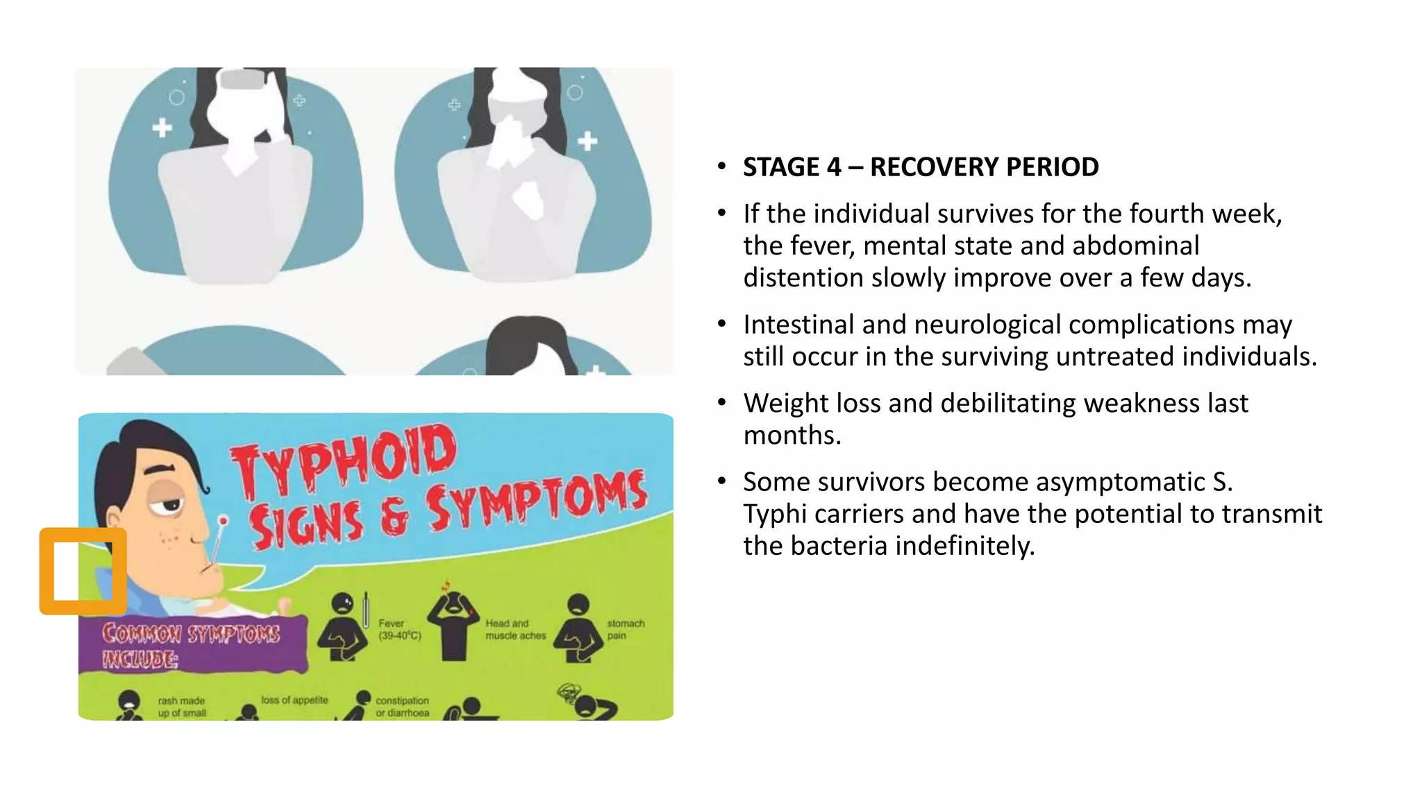 Typhoid fever overview | PPTX