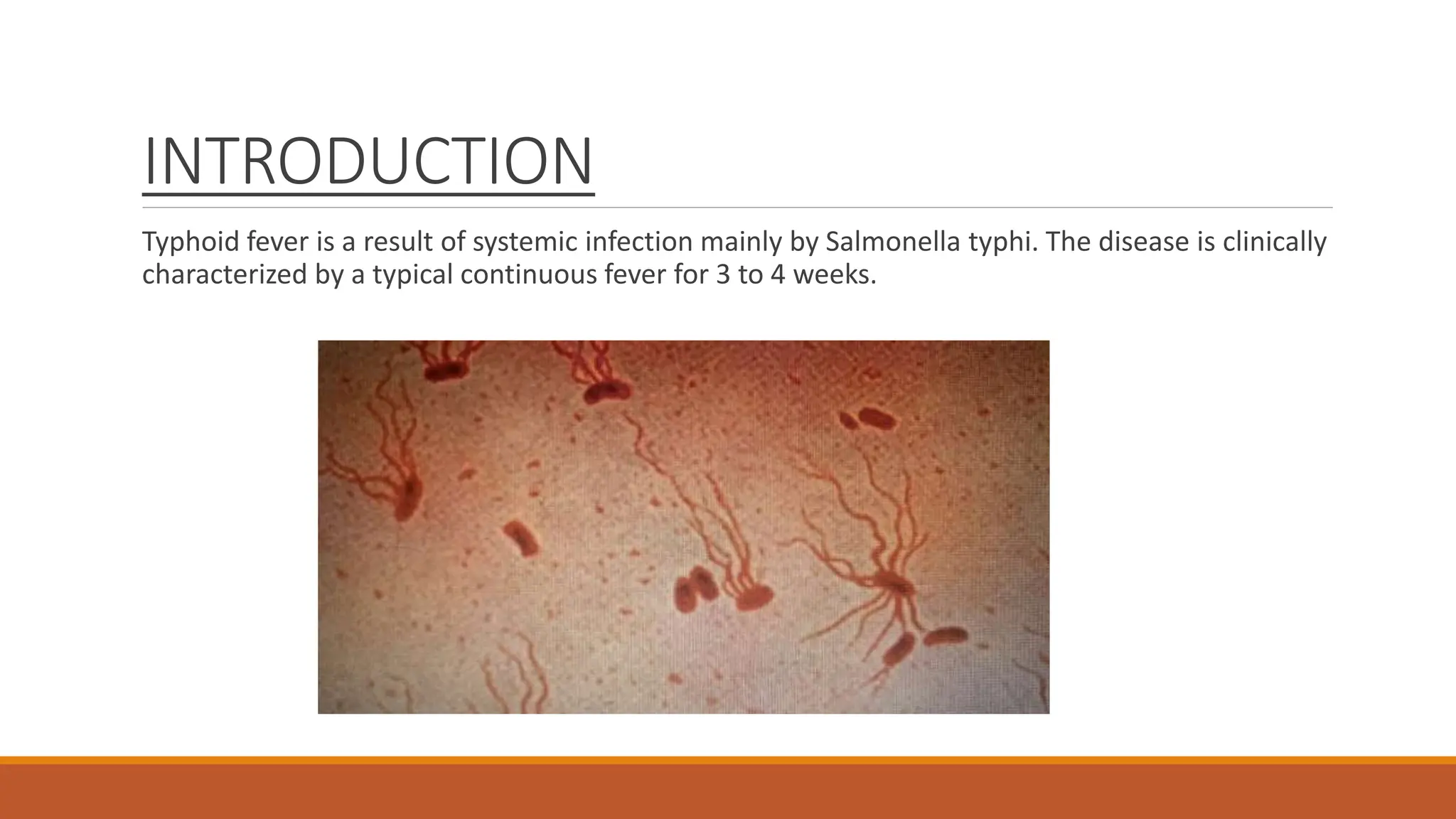 typhoid fever public health care .pptx