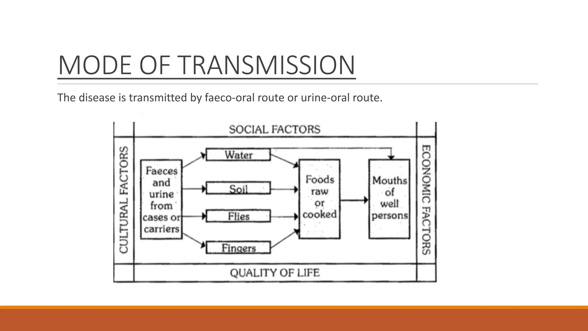 typhoid fever public health care .pptx