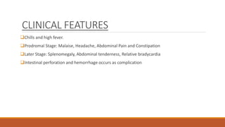 typhoid fever public health care .pptx