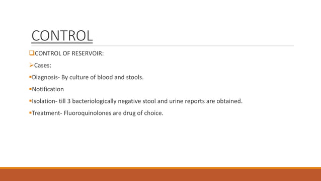 typhoid fever public health care .pptx