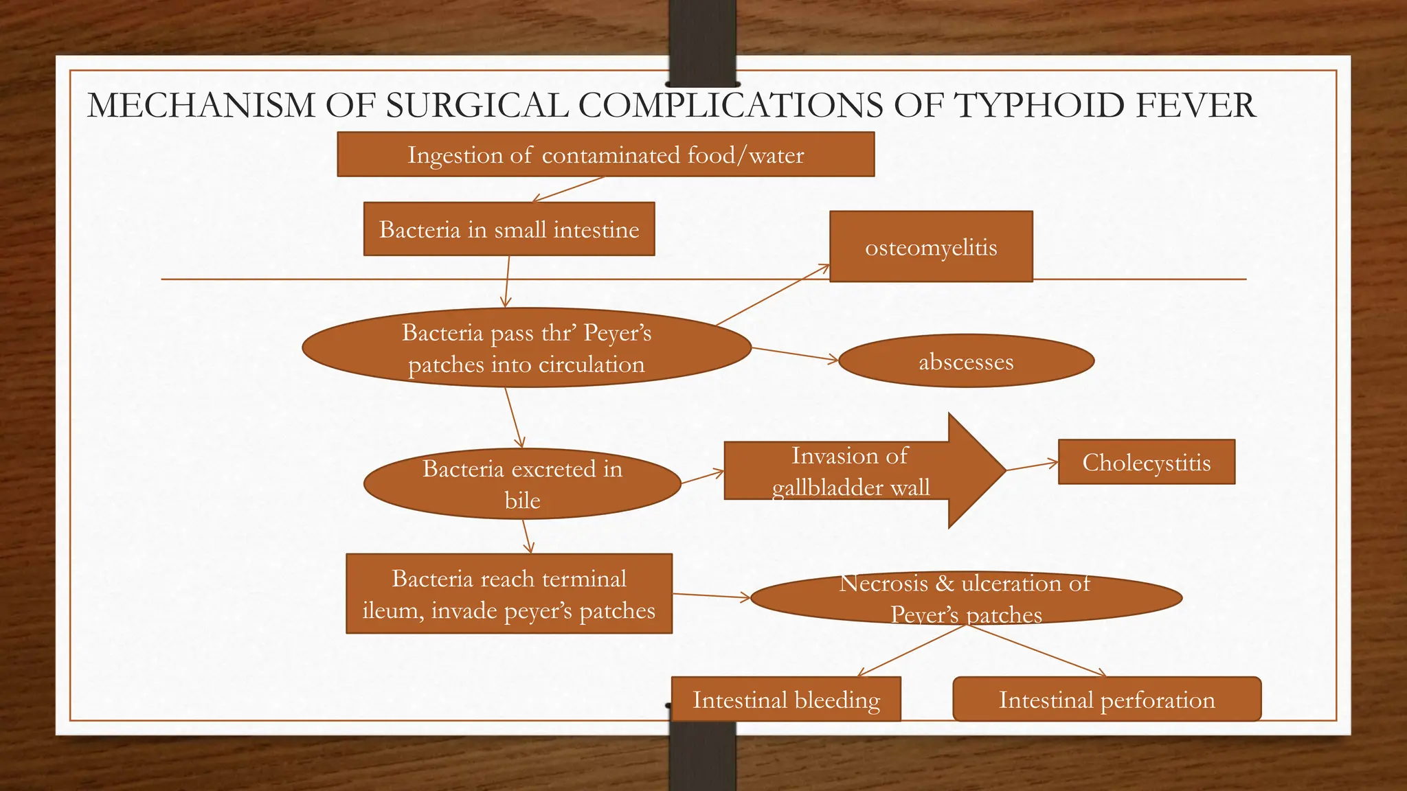 TYHOID ILEAL PERFORATION, COMPLICATIONS AND MANAGEMENT | PPTX