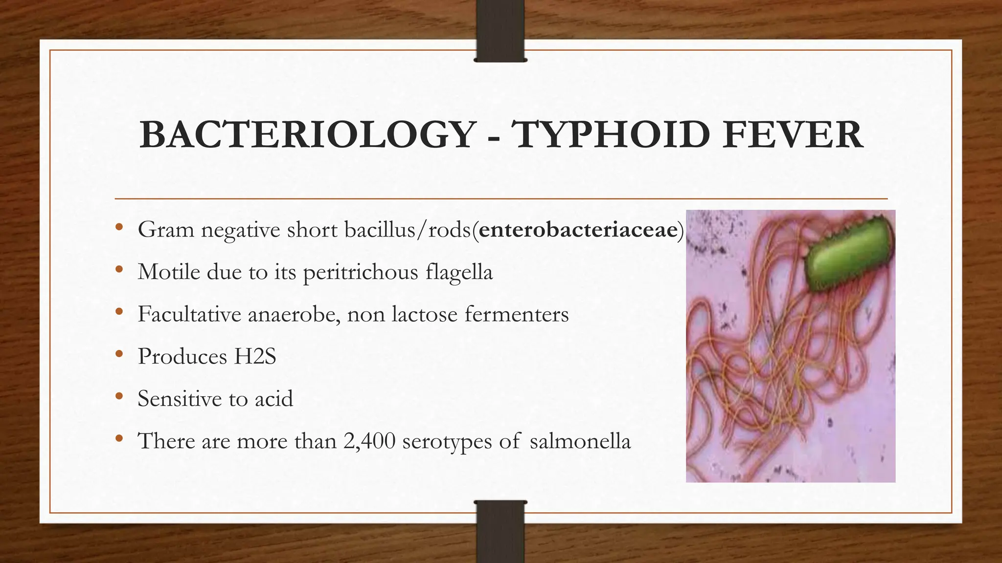 TYHOID ILEAL PERFORATION, COMPLICATIONS AND MANAGEMENT | PPTX