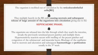 TYHOID ILEAL PERFORATION, COMPLICATIONS AND MANAGEMENT | PPTX