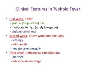 Typhoid Fever The Steps