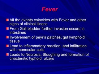 Typhoid Fever Lecture | PPT