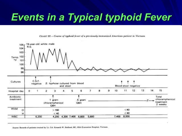 Typhoid fever ppt | PPTX | Digestive Disorders | Diseases and Conditions