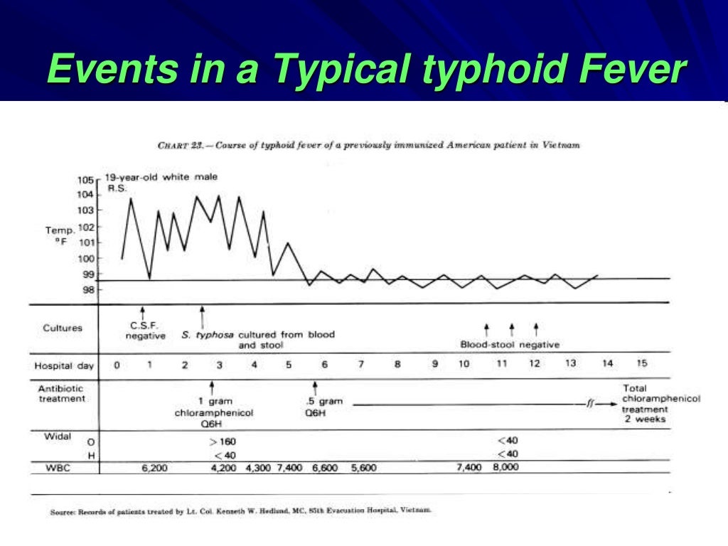 Typhoid fever ppt