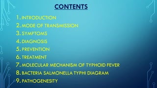 TYPHOID FEVER- By Robiul Islam | PPT