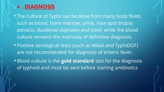 TYPHOID FEVER- By Robiul Islam | PDF