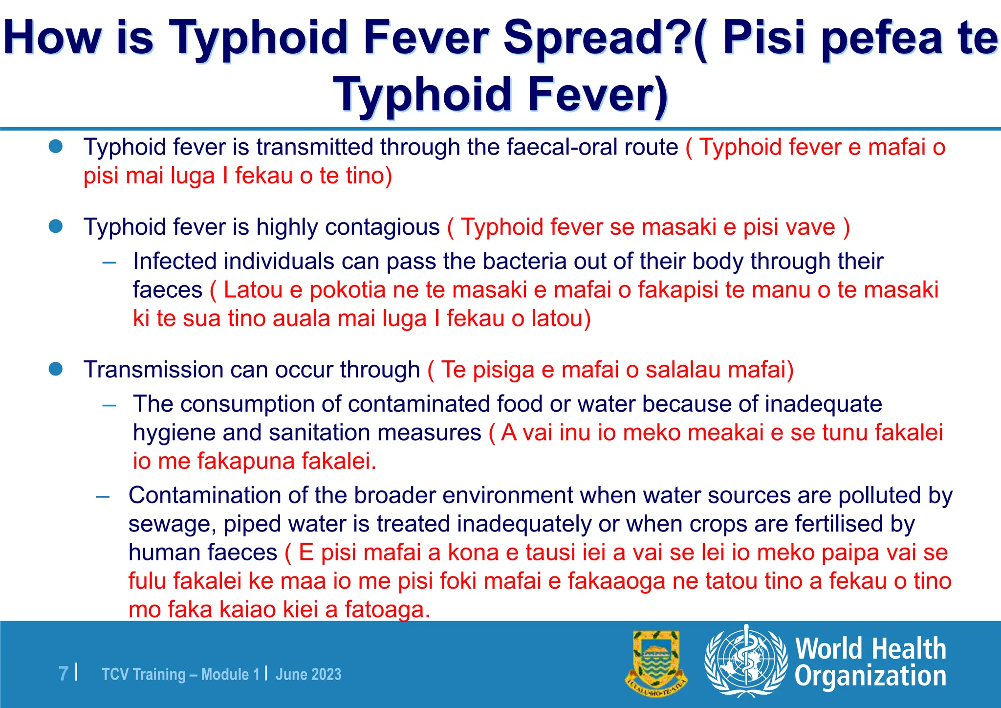 Typhoid Fever & Typhoid Vaccine Presentation Tuv Version.pptx