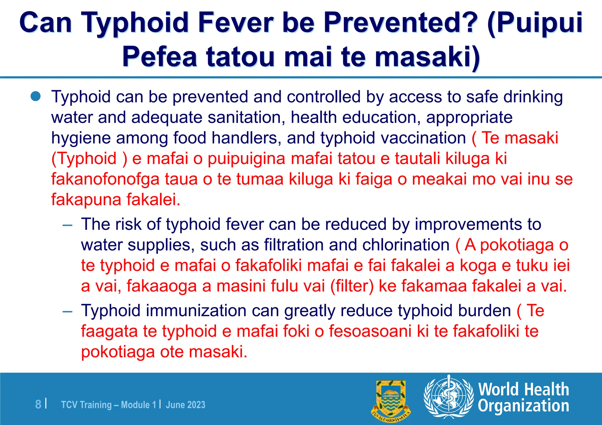 Typhoid Fever & Typhoid Vaccine Presentation Tuv Version.pptx