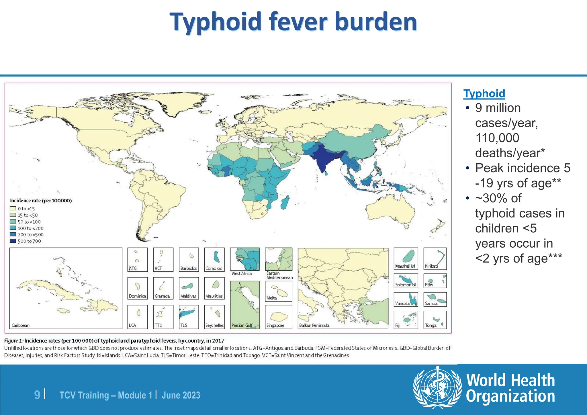 Typhoid Fever & Typhoid Vaccine Presentation Tuv Version.pptx