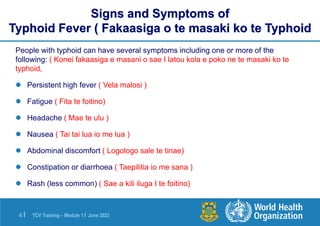 Typhoid Fever & Typhoid Vaccine Presentation Tuv Version.pptx