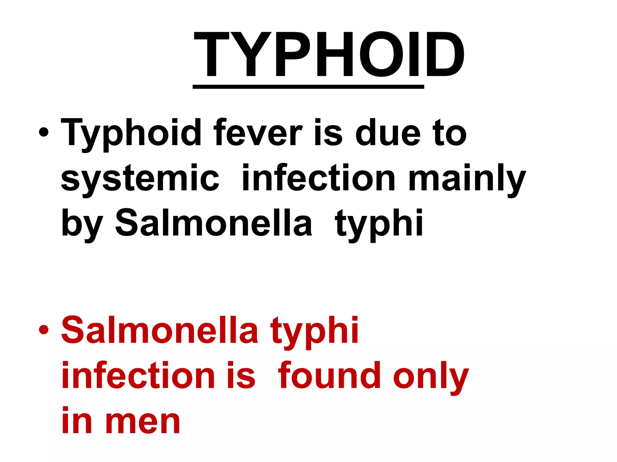 Typhoid Final.pptx