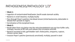 Typhoid intestinal perforation | PPTX